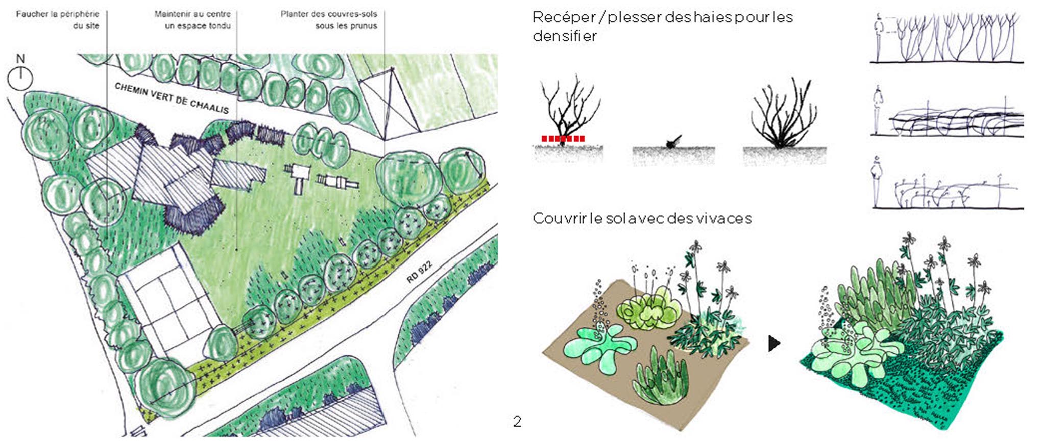 Fleurissement durable, de la théorie à l'action | Omnibus