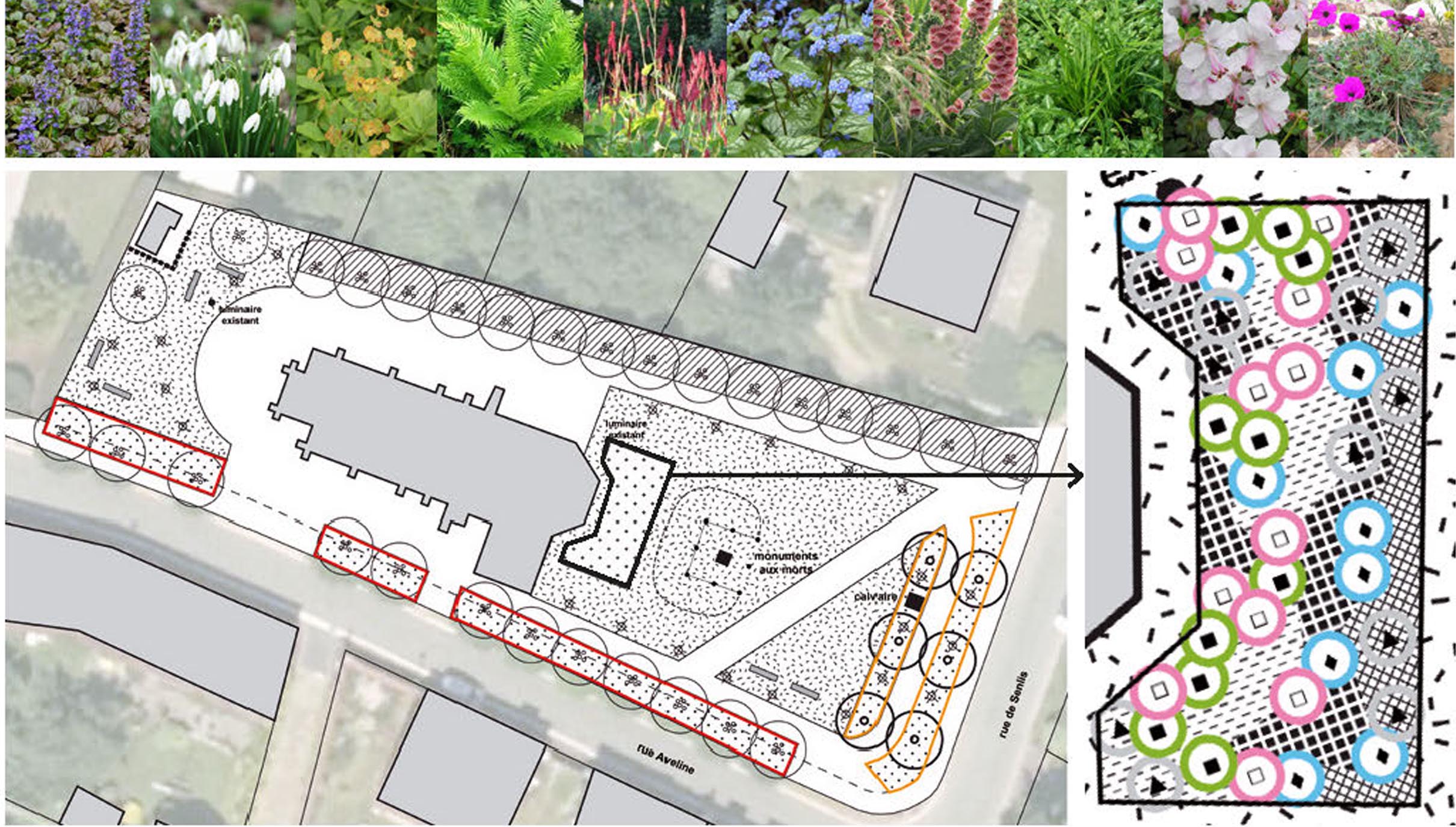 Fleurissement durable, de la théorie à l'action | Omnibus