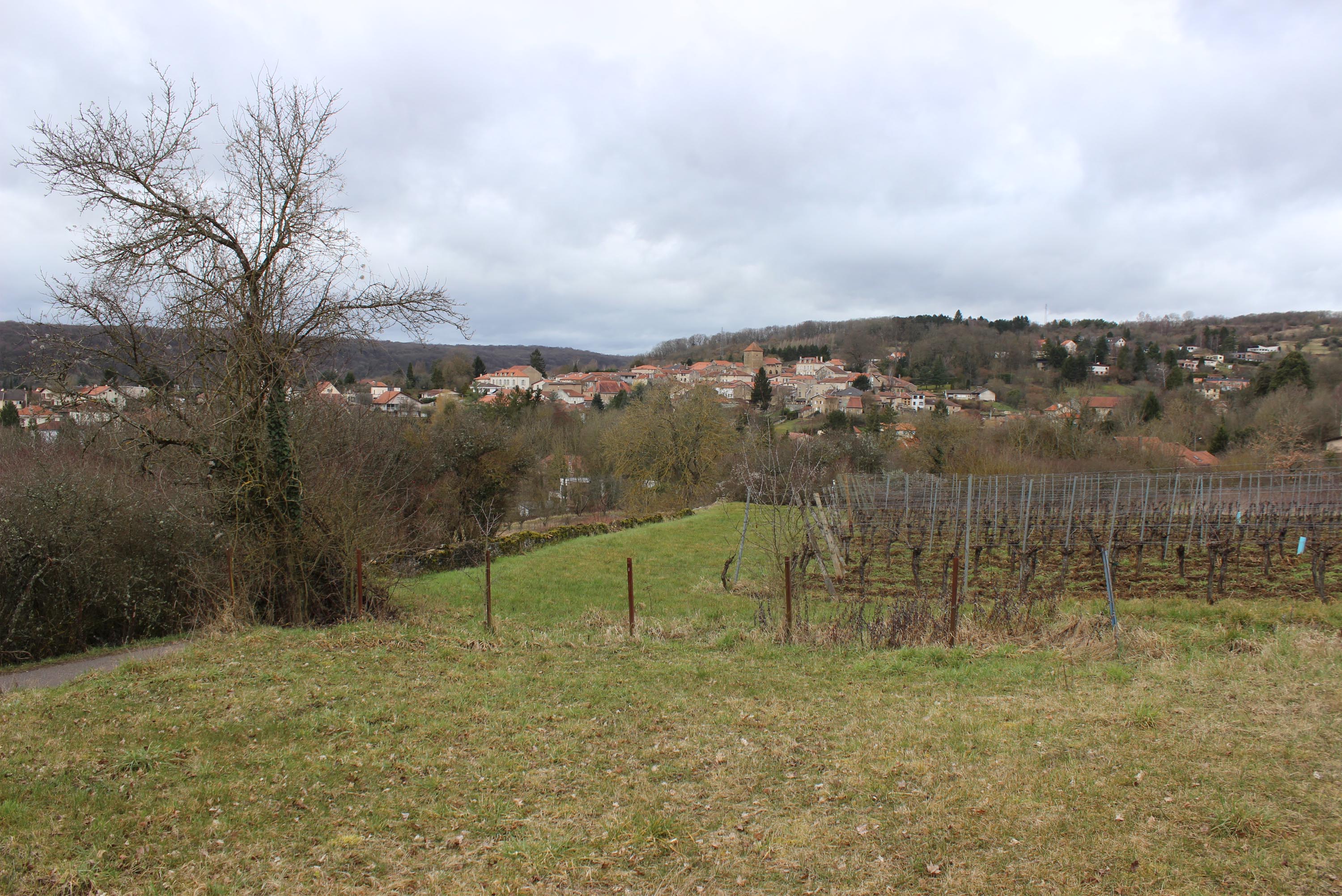 Mont St-Quentin, recommandations pour site classé | Omnibus